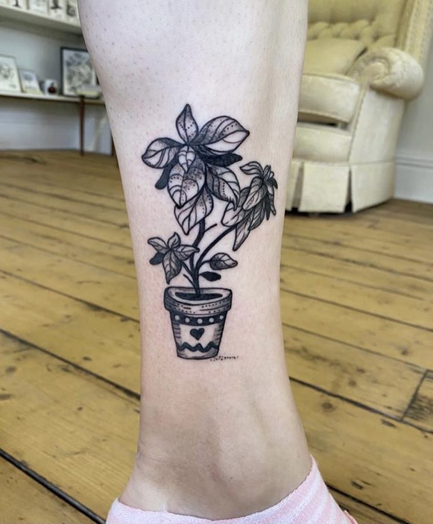 Grace Howarth - The Candle Orchard